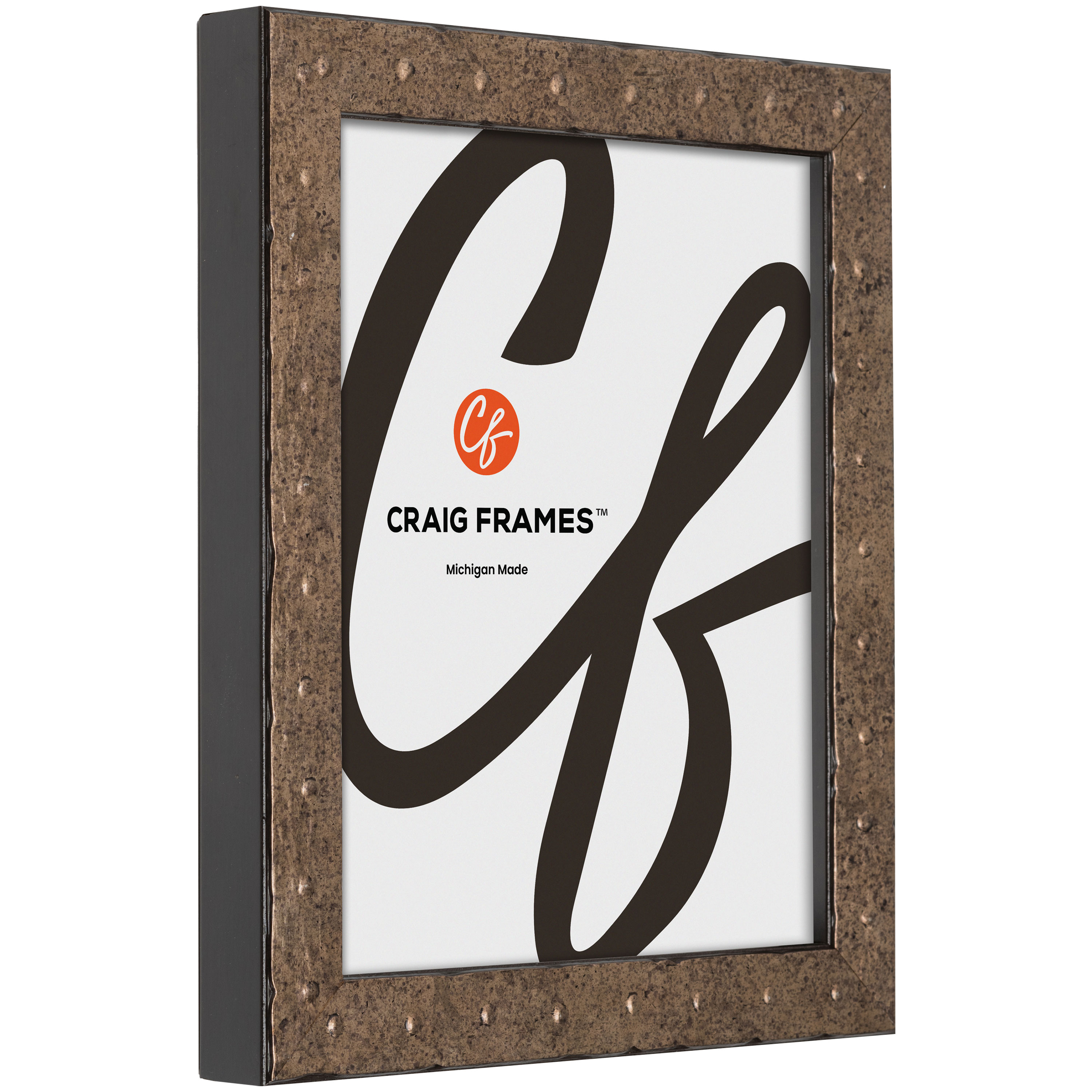 Rivet Pitted Steel Picture Frame - Craig Frames
