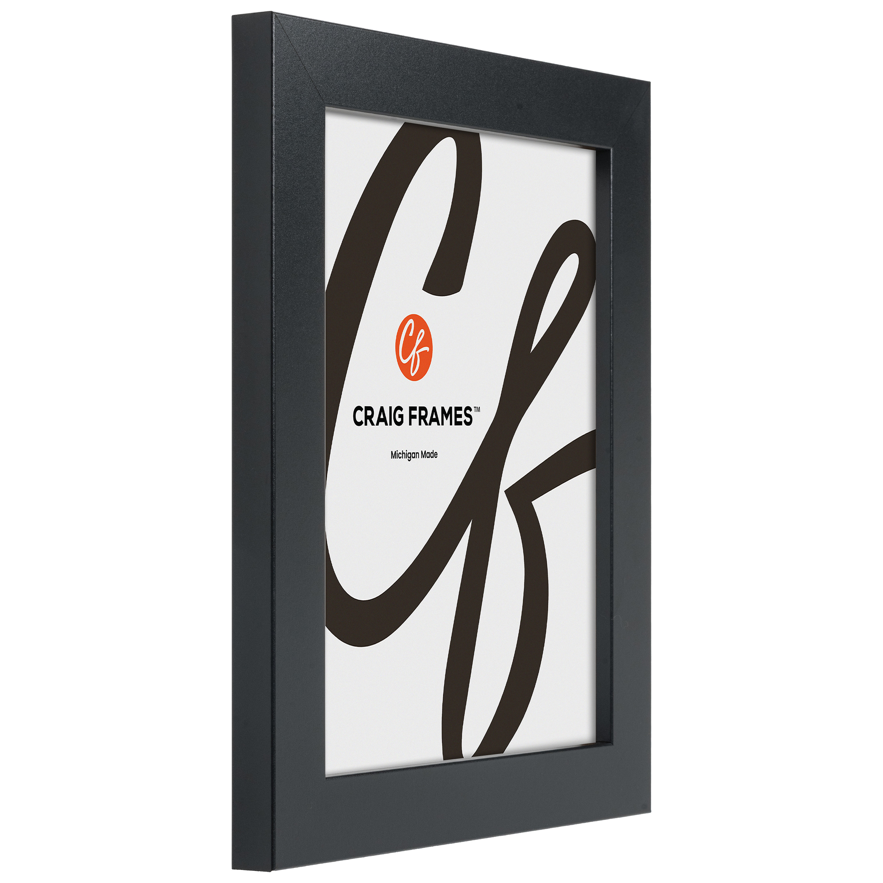 Bauhaus 125 Modern Satin Black Picture Frame - Frame Lot - Craig Frames