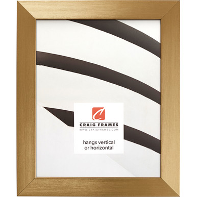 Modern Aesthetics 125, Gold Picture Frame - Craig Frames
