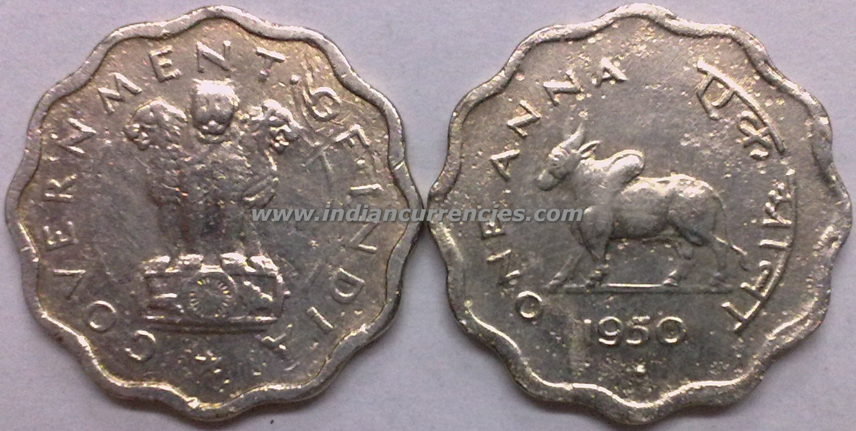 Mumbai Mint Products - JJ Collection