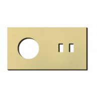Socket - 2 gang - power + USB outlet - brushed brass - SmartOne