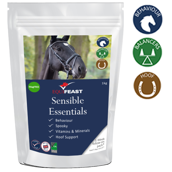 Sensible Essentials FOLLOW ON Packs (minimum order two packs ...
