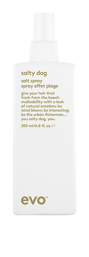 Evo Salty Dog Salt Spray 200ml GF - New Officia Stockist