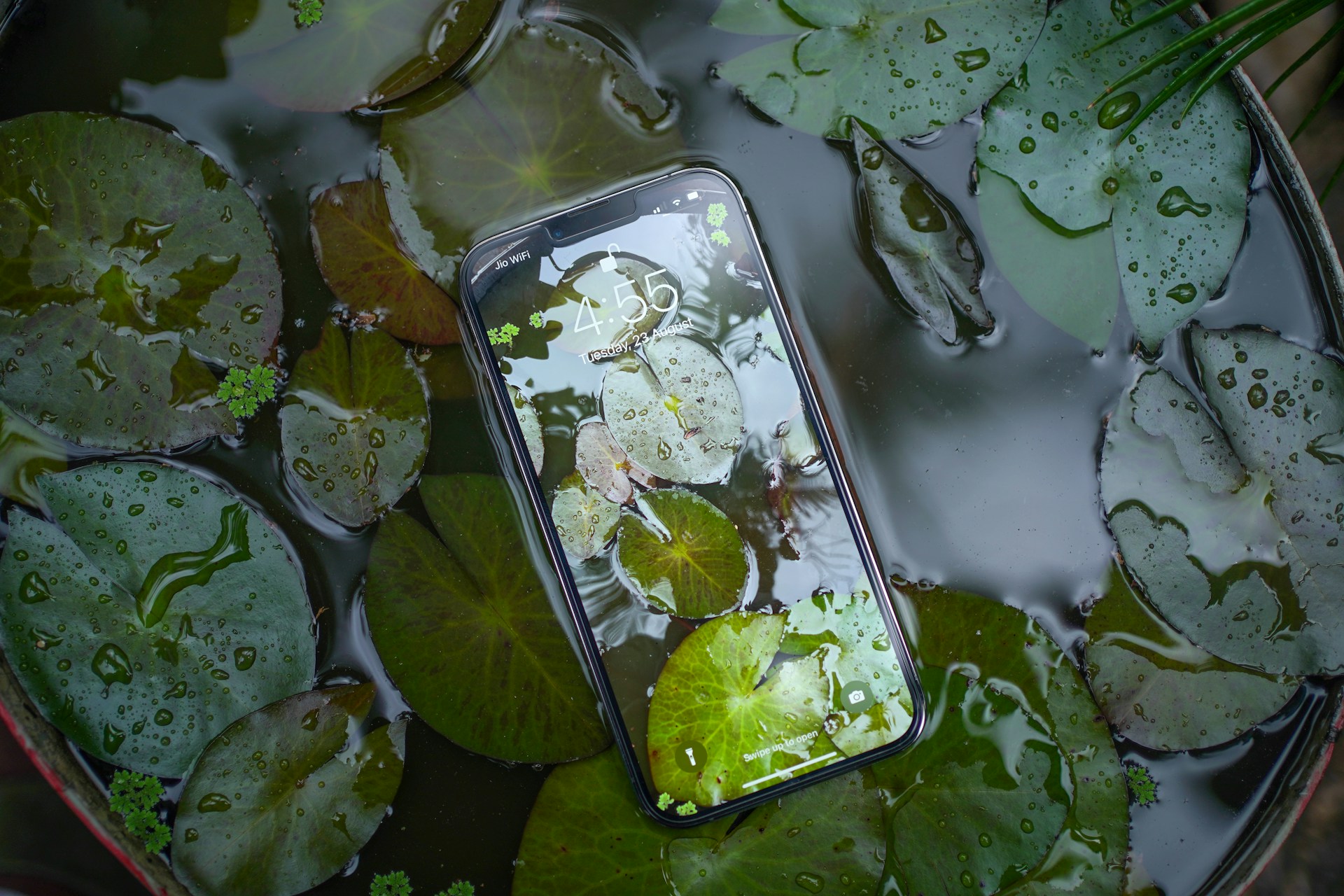 What Do You Do When Your Phone Gets Wet? | How to Dry a Wet Phone - ZAGG