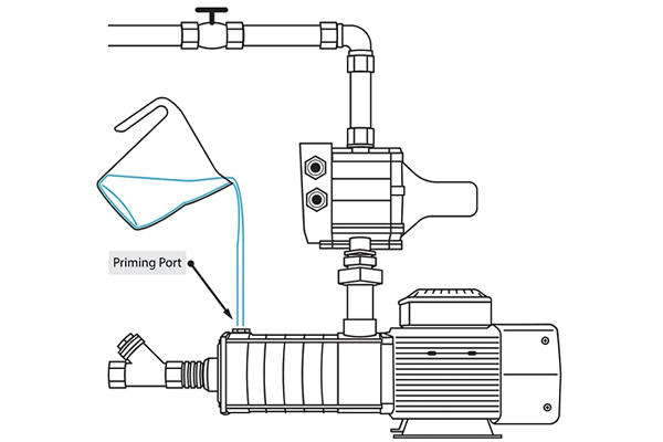 How to Prime a Domestic Rainwater Tank Pump - Just Water Pumps
