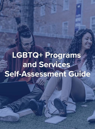 LGBTQ+ Programs and Services Self-Assessment Guide (SAG)