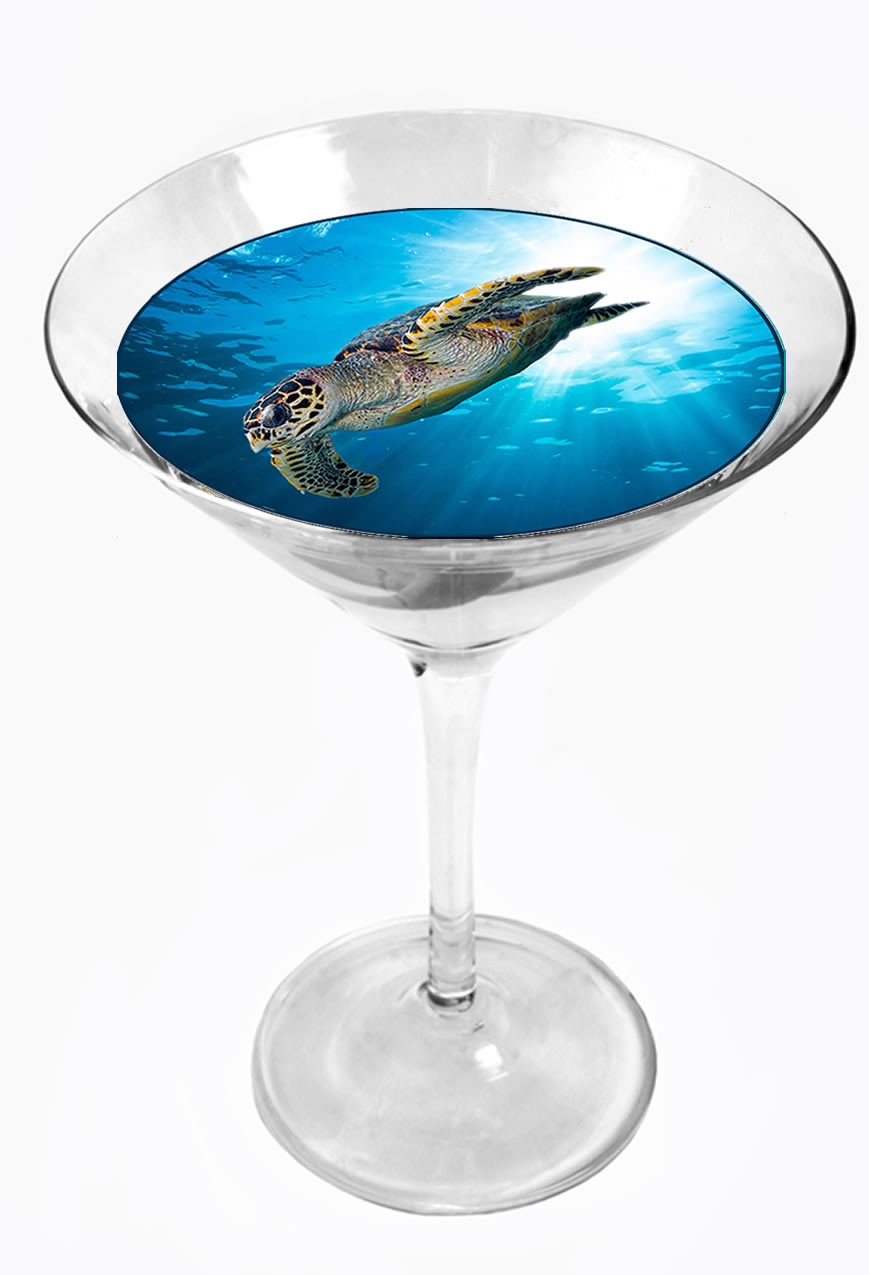 Snowy River Cocktail Toppers - Add a Message or Photo to your Cocktail ...