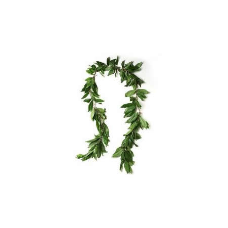 Maile Wrapped Lei with White Orchid