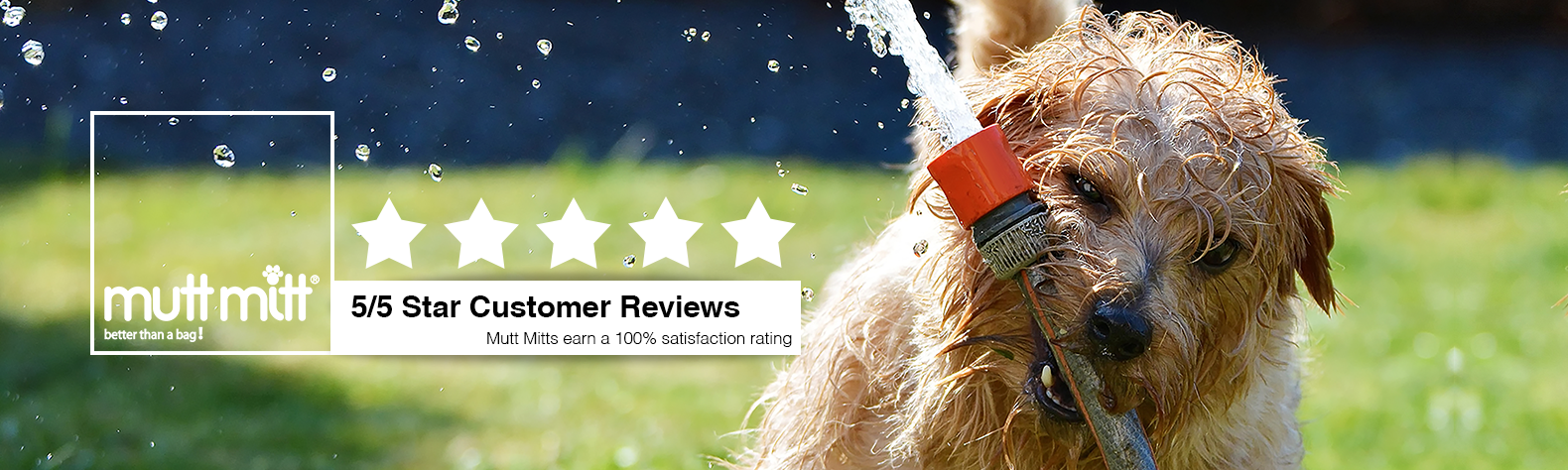 Mutt Mitt: Dog Waste Stations for HOA, Parks, Cities