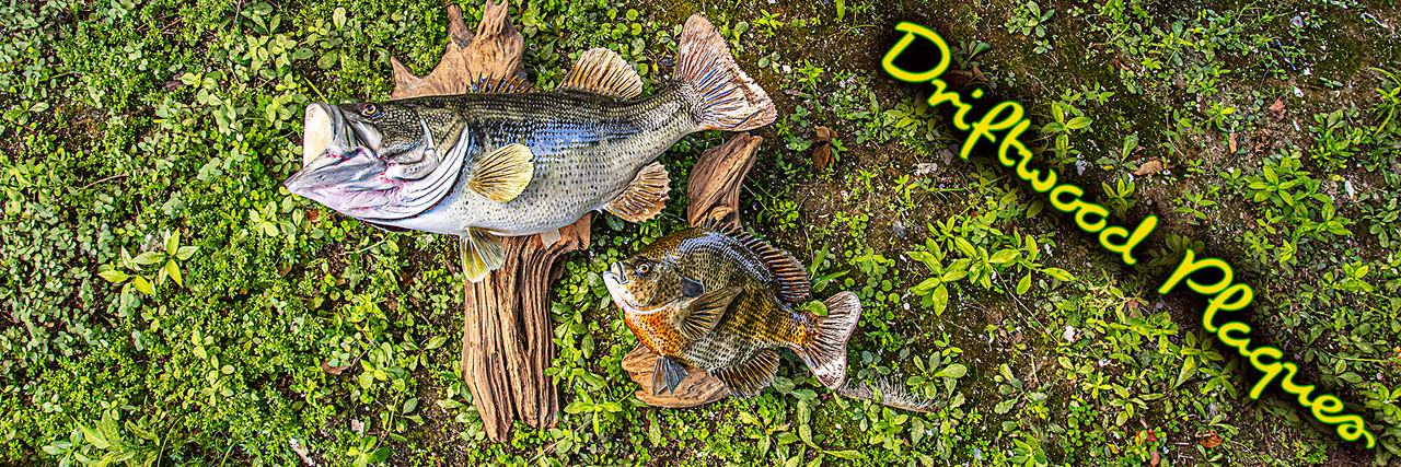 The Fish Mount Store - Full body and half sided fish Replicas