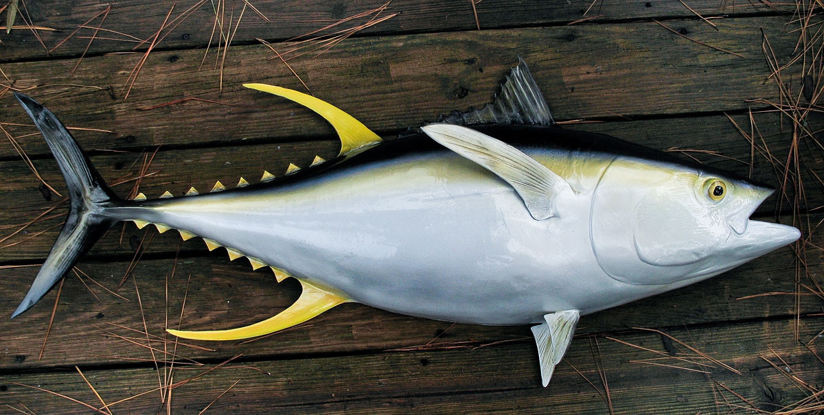 Tuna replicas