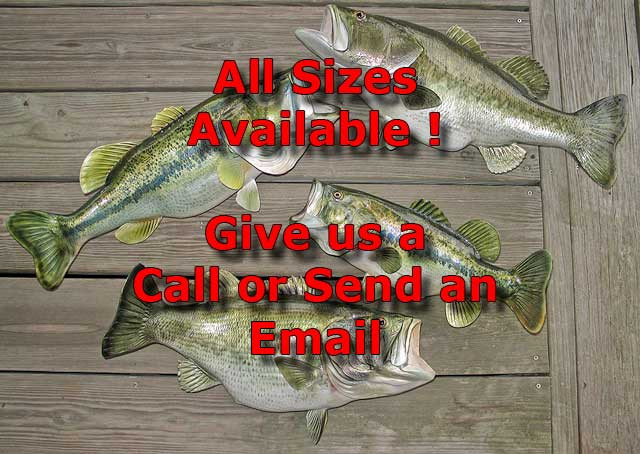 FRESHWATER - Largemouth Bass - The Fish Mount Store