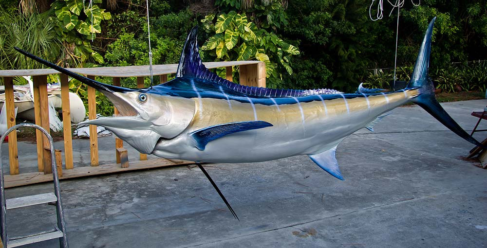 Blue Marlin Mounts
