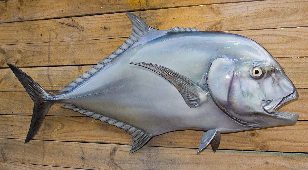 African Pompano fish replicas