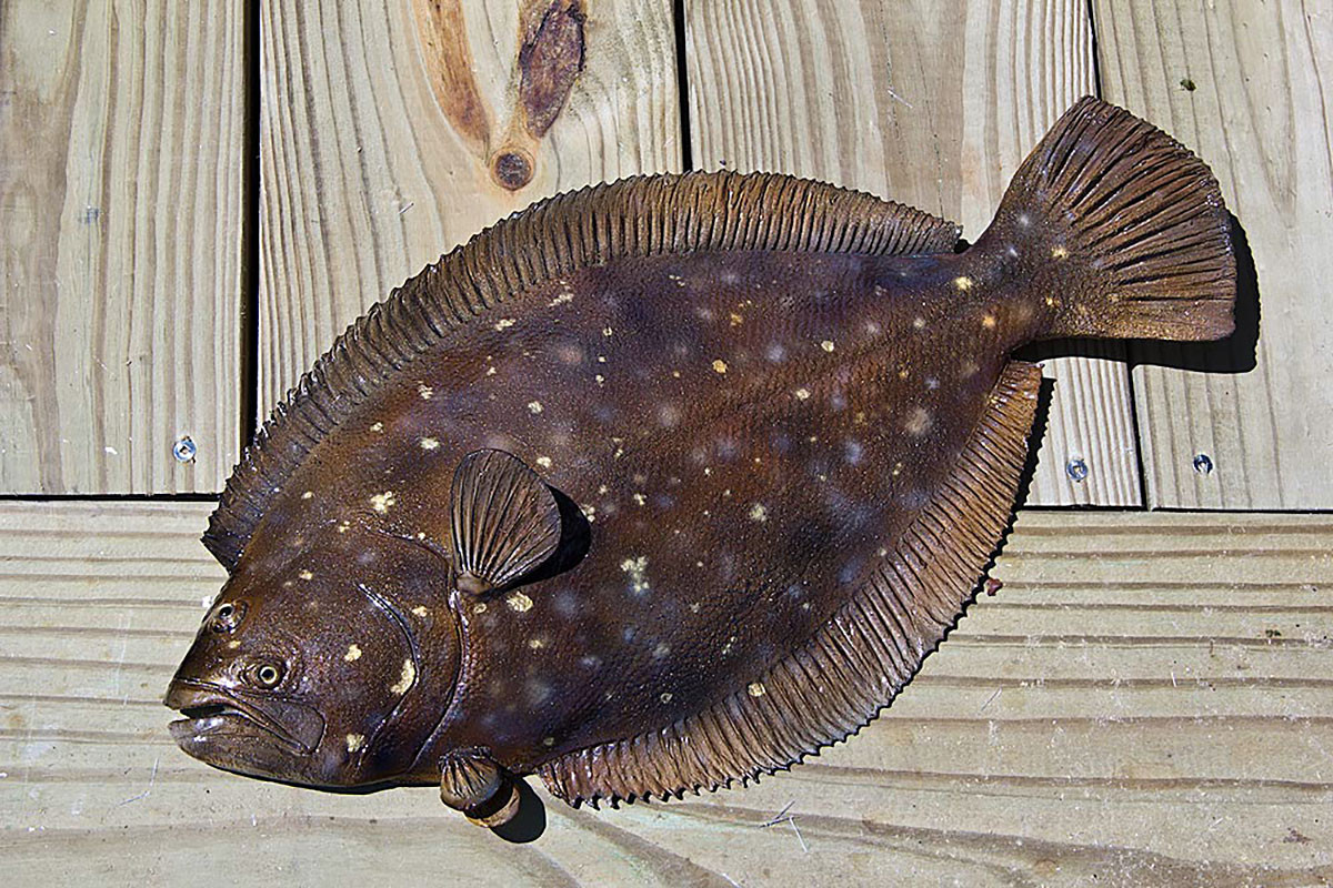 Flounder 19 inch half mount fiberglass fish replica - The Fish Mount Store