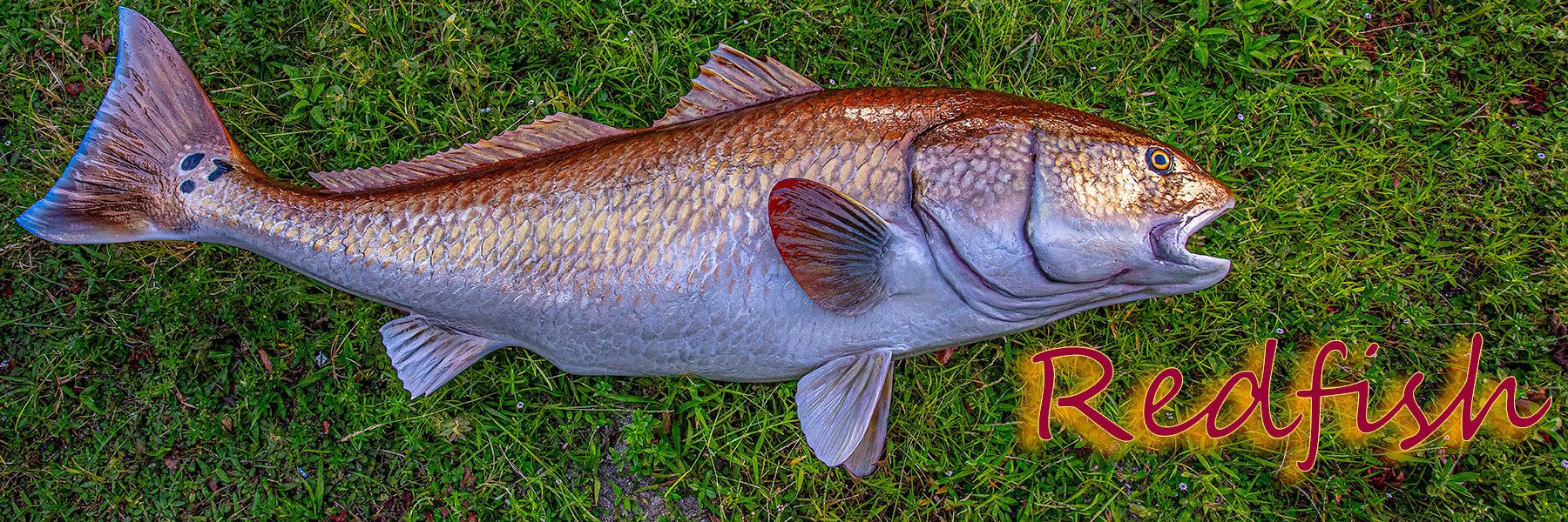 The Fish Mount Store - Full body and half sided fish Replicas