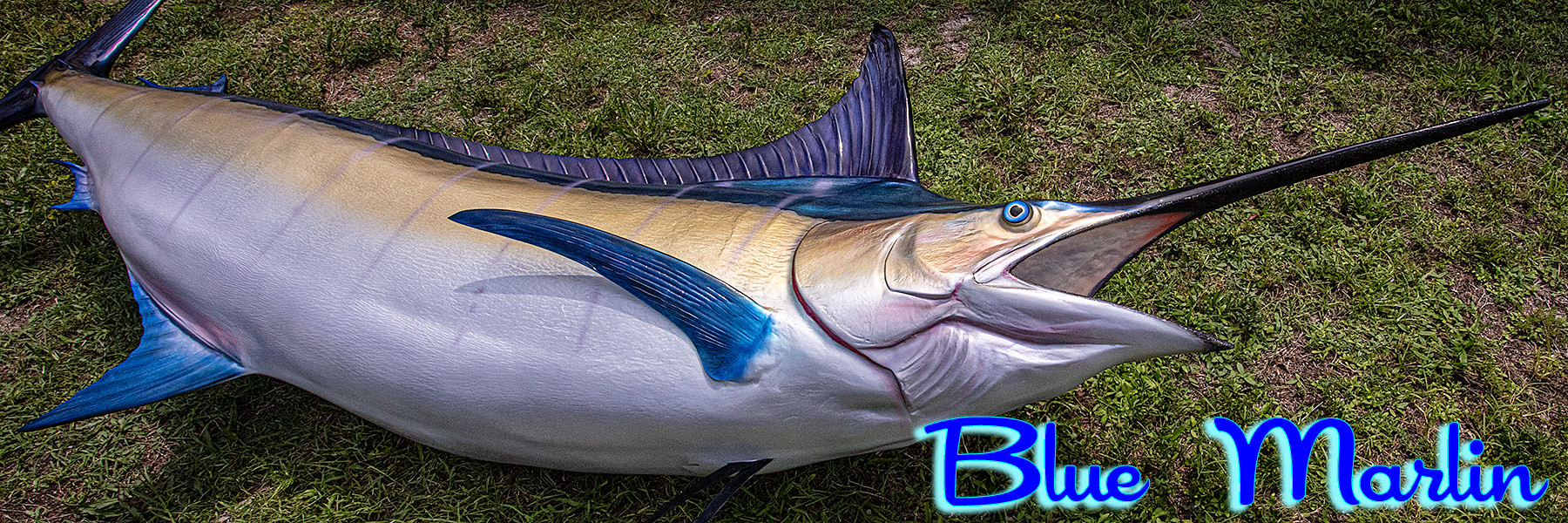 The Fish Mount Store - Full body and half sided fish Replicas