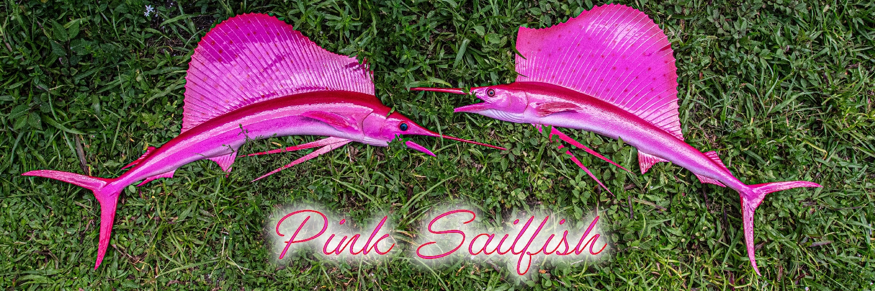 The Fish Mount Store - Full body and half sided fish Replicas