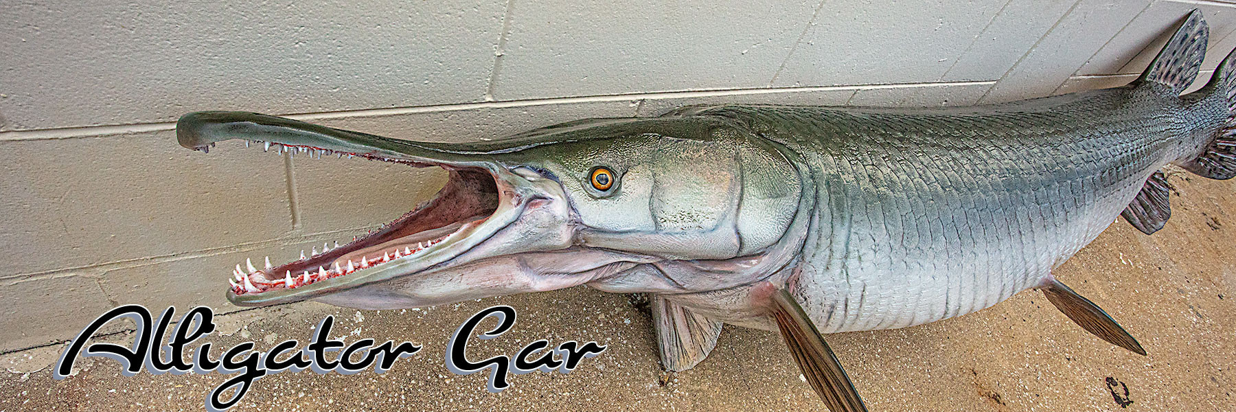 The Fish Mount Store - Full body and half sided fish Replicas