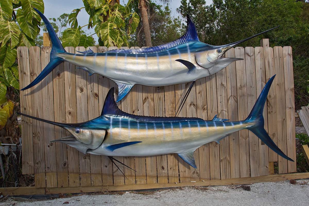 Blue Marlin 130 inch full mount fiberglass fish replica - The Fish ...