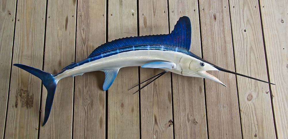 White Marlin 60R inch full mount fiberglass fish replica - The Fish ...