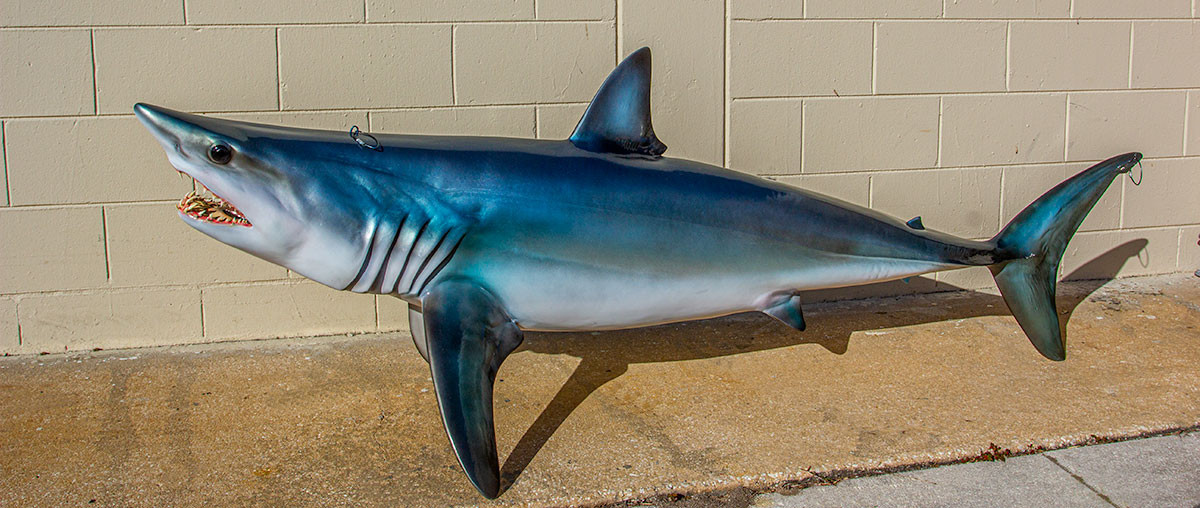 Mako Shark 96 inch Full Mount Fiberglass Fish Mount Replica - The Fish ...