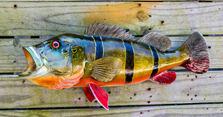 The Fish Mount Store - Full body and half sided fish Replicas