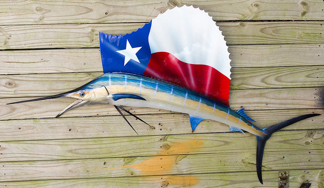 FUNKY FISH MOUNTS - The Fish Mount Store