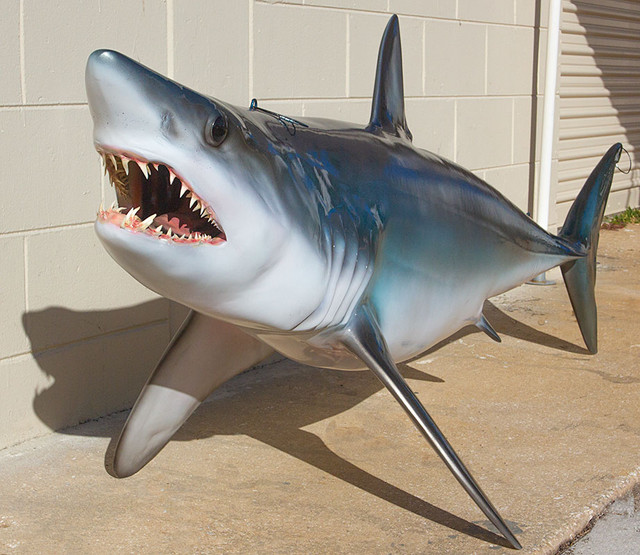 Mako Shark 96 inch Full Mount Fiberglass Fish Mount Replica - The Fish ...