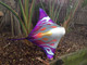 FUNKY FISH MOUNTS - The Fish Mount Store