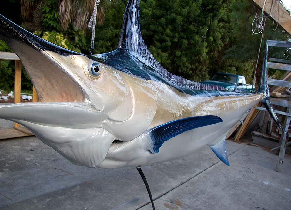 Blue Marlin 130 inch full mount fiberglass fish replica - The Fish ...