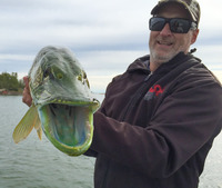 Real Life Funky Fish - The Fish Mount Store