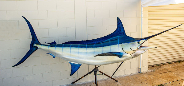 Blue Marlin 125 inch full mount fiberglass fish replica - The Fish ...