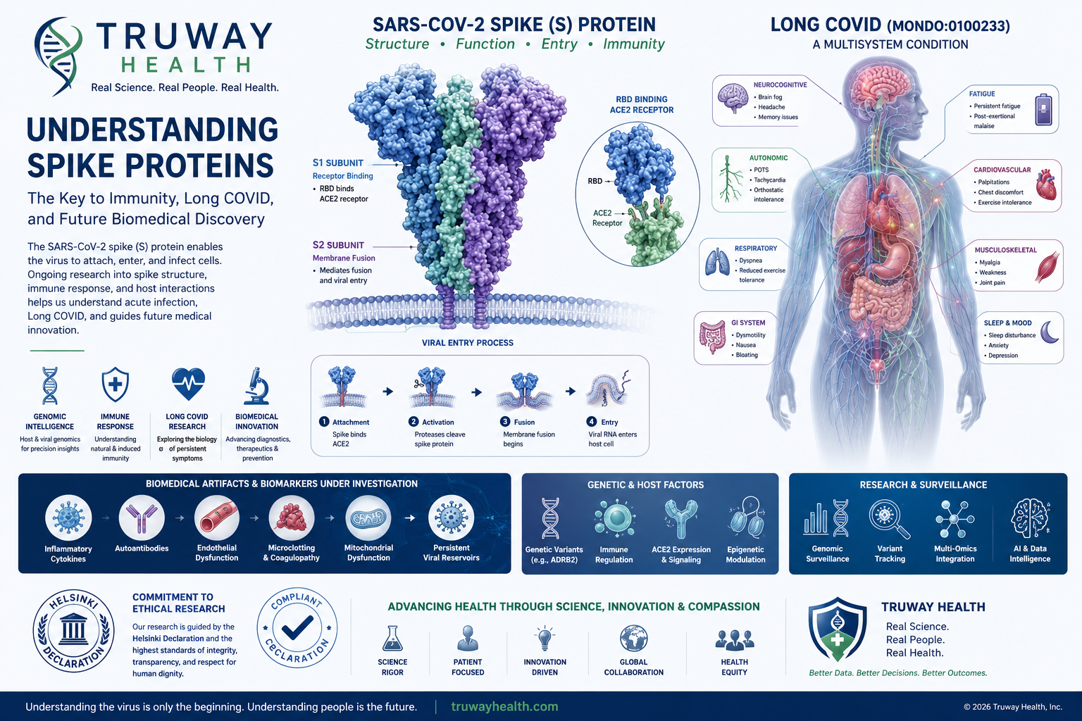 Understanding Coronavirus Spike Proteins: Why They Matter for Long ...