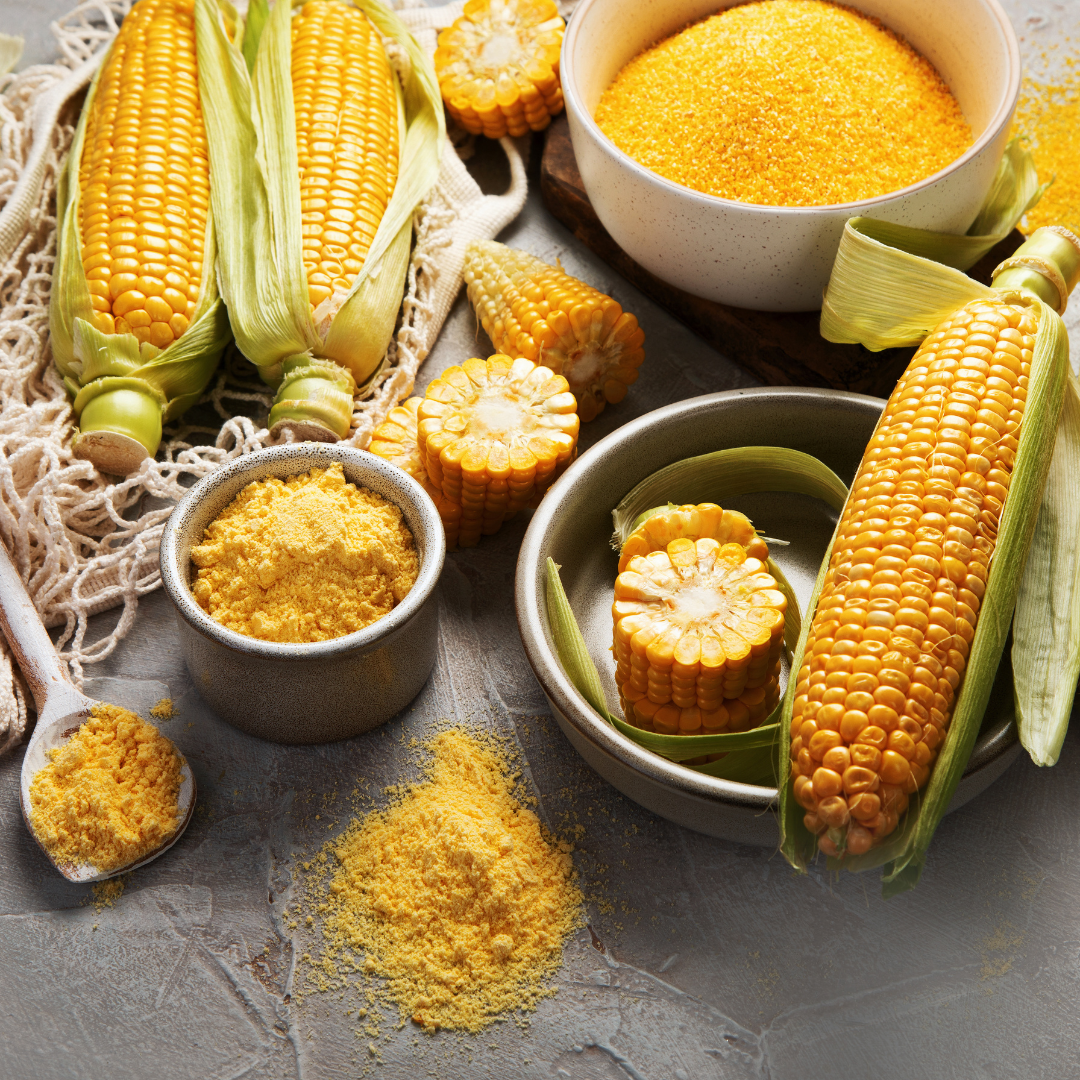 Getting Corny: Storing Corn, Cornmeal , and Cornstarch - PackFreshUSA