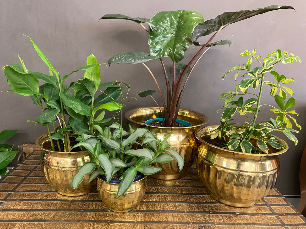 Round Brass Stripes Planter -Xtra Large - Sohal Living