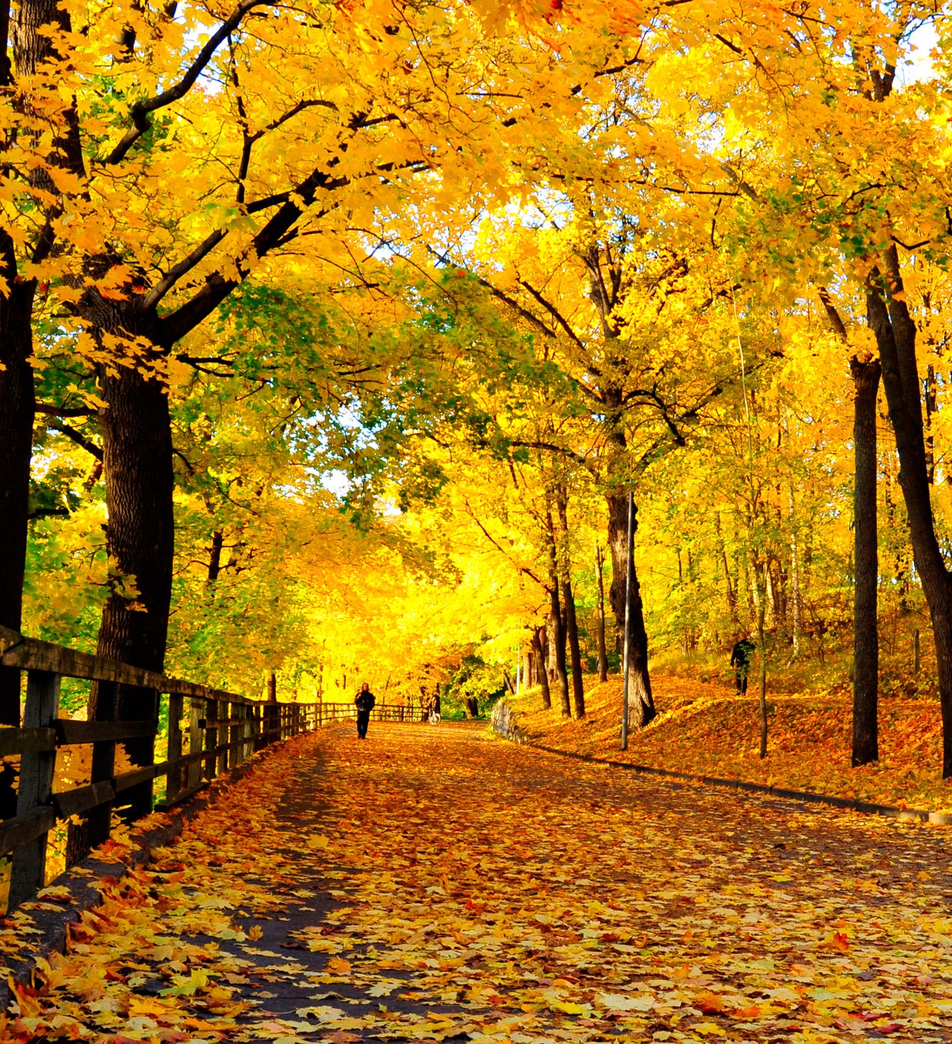 Autumn Meditation - Sage Meditation