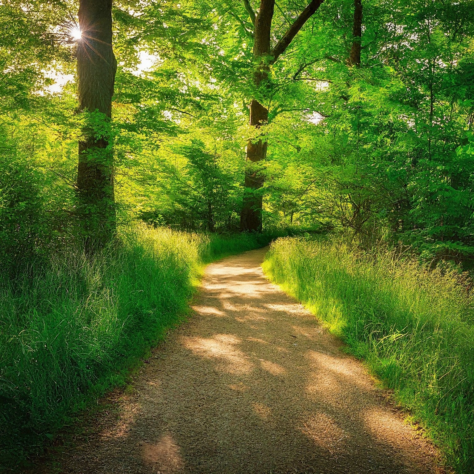 Communing With Nature as a Form of Meditation - Sage Meditation