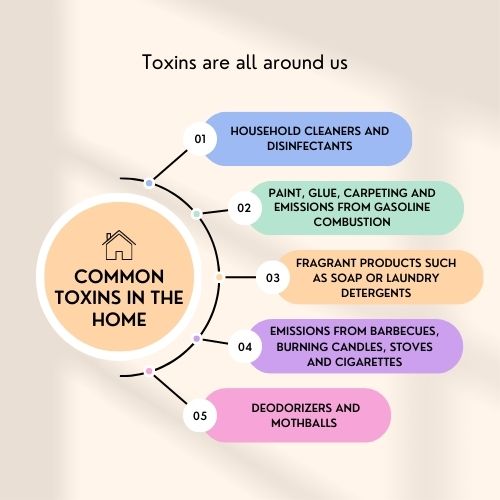 Do Air Purifiers Remove Toxins? - Air Health