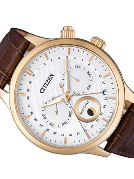 Citizen Calendar, Moonphase Watch with Sapphire Crystal #AP1052-00A