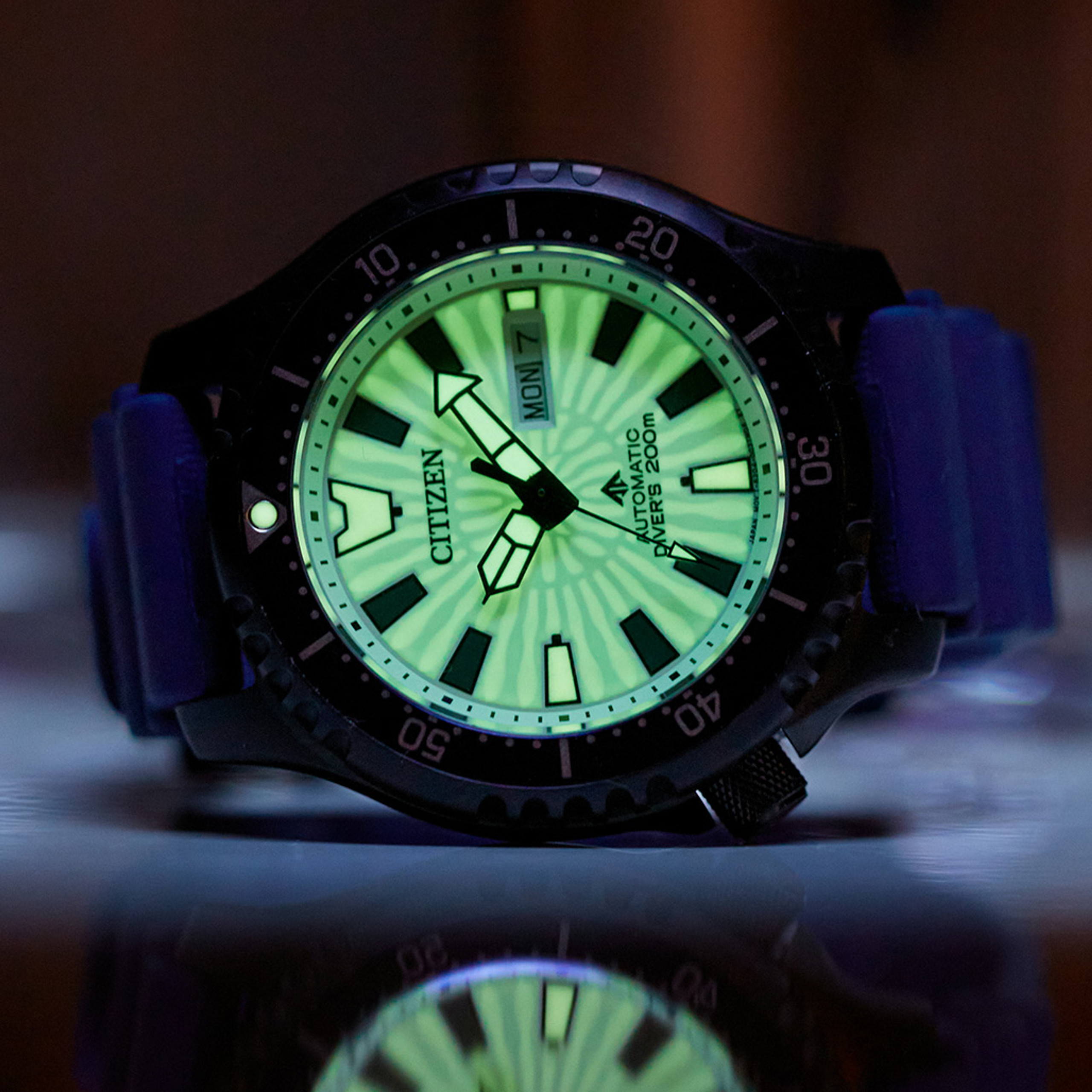 Citizen Automatic Promaster Dive Watch with PVD Case, Fully Lumed Dial ...
