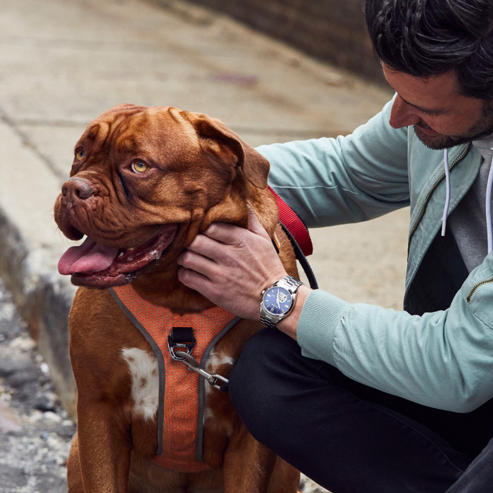 Bulova Surveyor Automatic Watch with Open Heart Black Dial #96A270