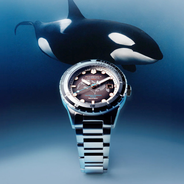 Spinnaker Hass Automatic Whale Sanctuary Project Le Black Dial Sp 5128 44