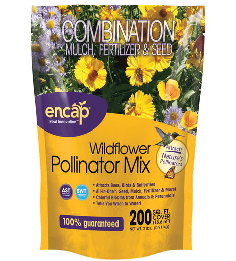 POLLINATOR MIX 200 SQ FT - Wedel's Garden Center