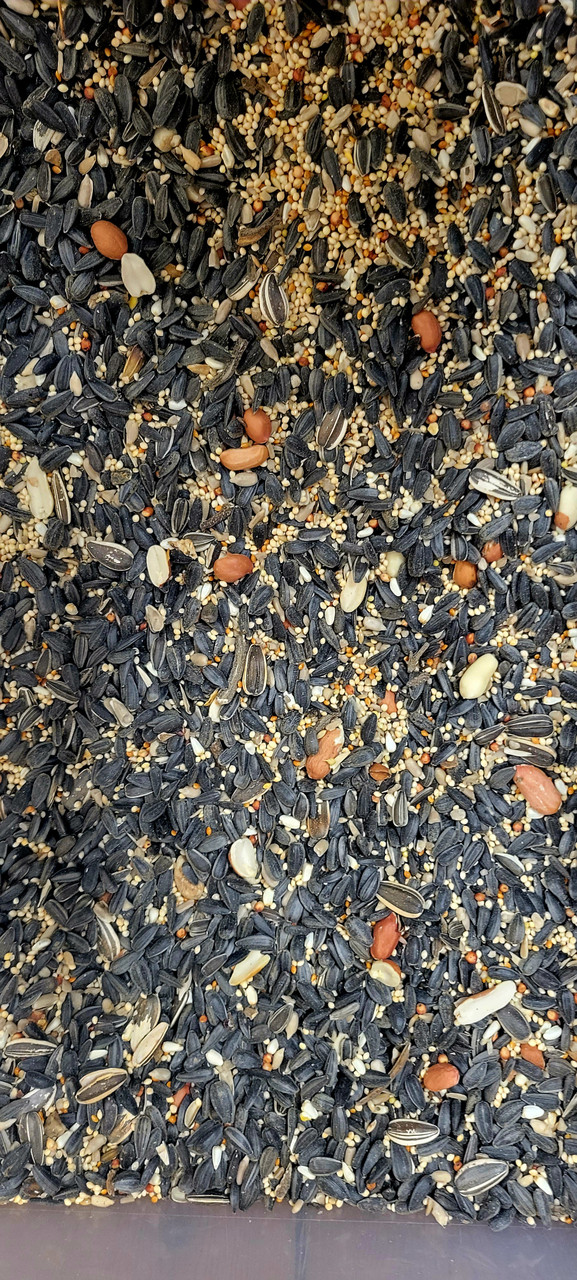 Elite Wild Bird Food - 40lb - Wedel's Garden Center