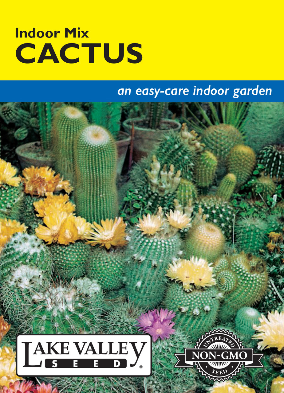INDOOR CACTUS MIX - Wedel's Garden Center