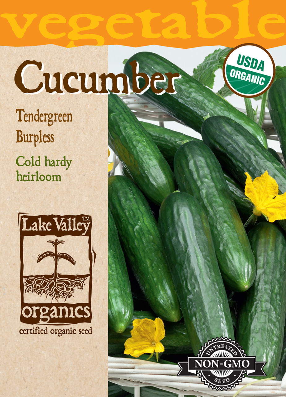 Cucumber Tendergreen Burpless Organic - Wedel's Garden Center