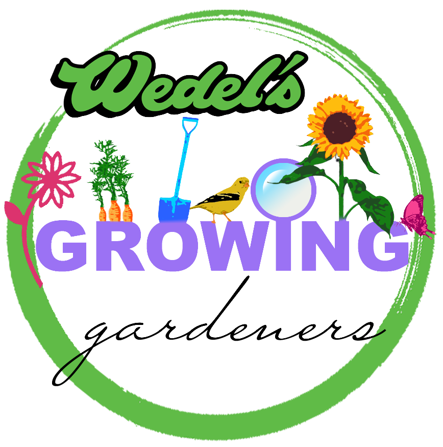 Kalamazoo Florist, Garden Center, Nursery: Wedel's