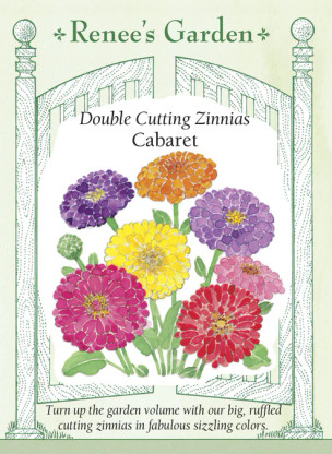 Zinnia Cabaret - Wedel's Garden Center