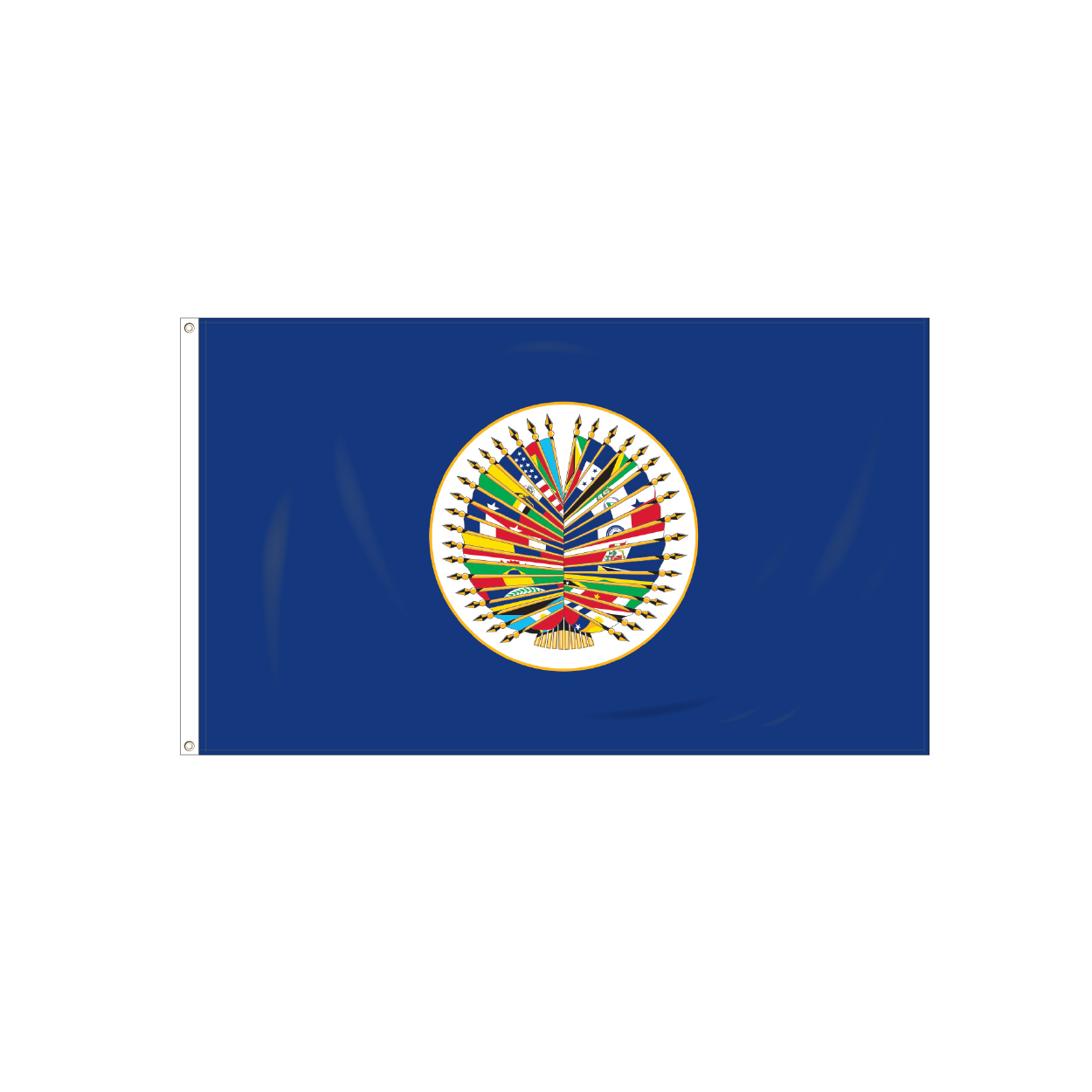 OAS Flag